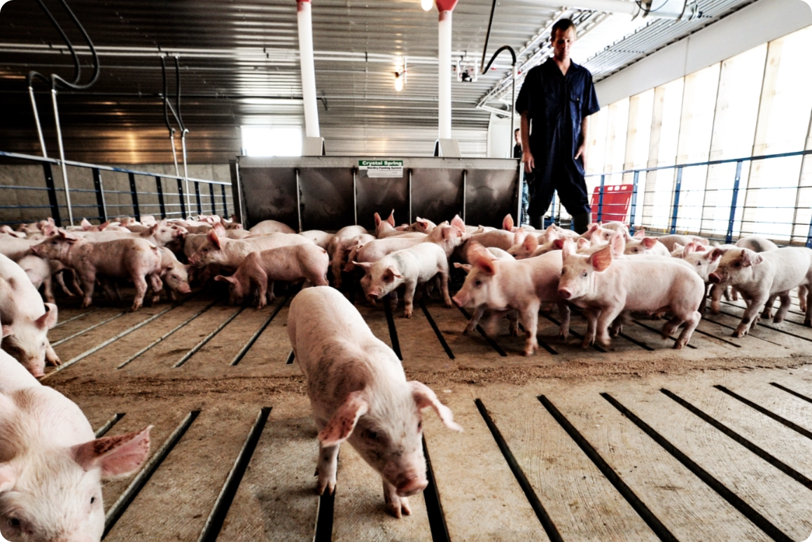 National Pork Producers Council - NPPC